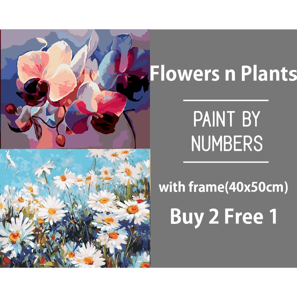 Buy2 Get1 Free Stretched Canvas 40x50cm Paint by Numbers Oil Painting ...