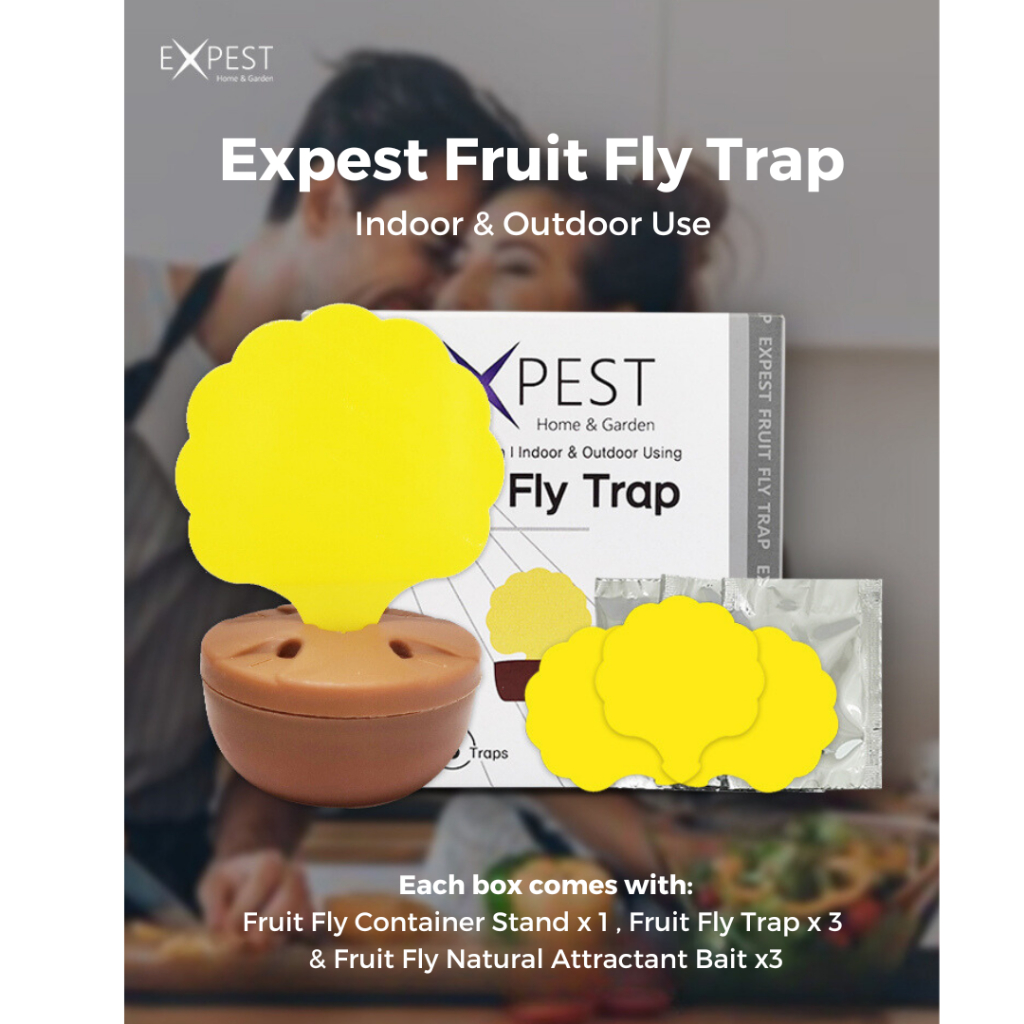 Expest Fruit Fly Trap - [Container, Trap & Natural Bait] | Shopee Singapore
