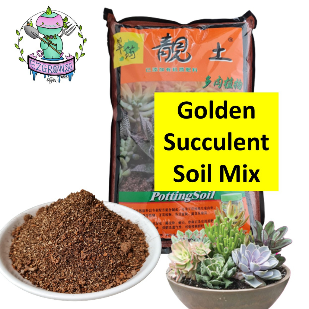 6L Premium Golden Succulent Soil Mix for Succulent Cactus Cacti ...