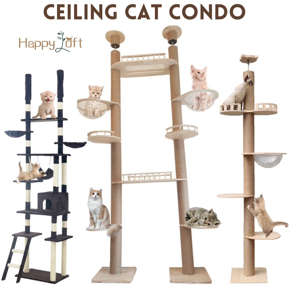 [SG SELLER] Cat Condo Solid Wood Condo Cat Climbing Tree Tower ...