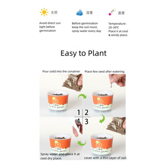 [SG] DIY Mini Plant Kit for Kids My Little Garden Series Easy to Grow ...