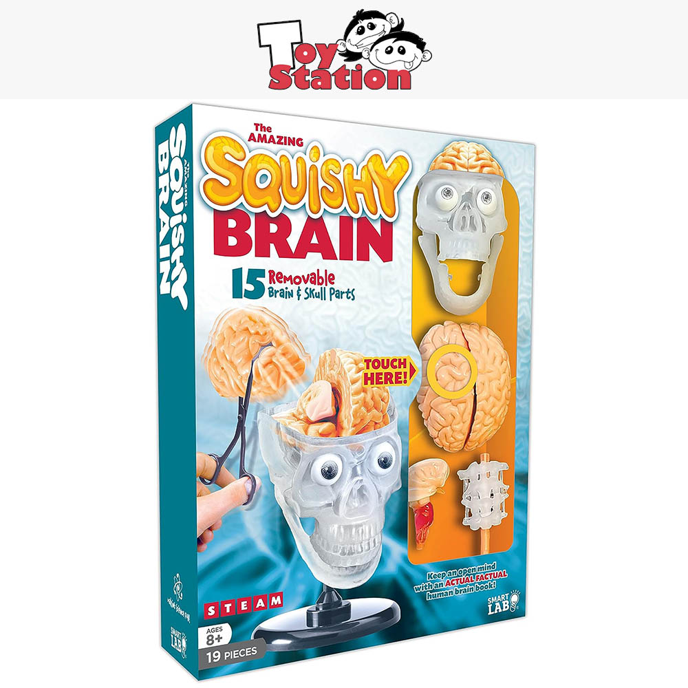SmartLab Toys The Amazing Squishy Brain STEM Kit | Shopee Singapore