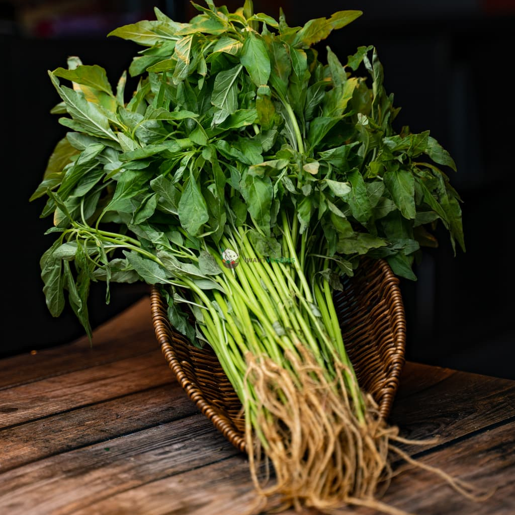Ceylon Spinach 苋菜 (300G/500G±) (克/公斤) | Shopee Singapore