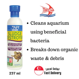 That Aquarium, Online Shop | Shopee Singapore