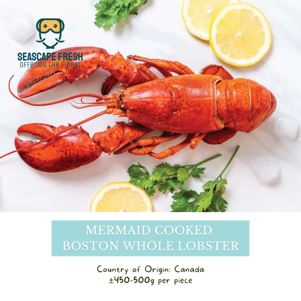 【Seafood】Canadian Whole Cooked Boston Lobster - 450-500g per piece ...