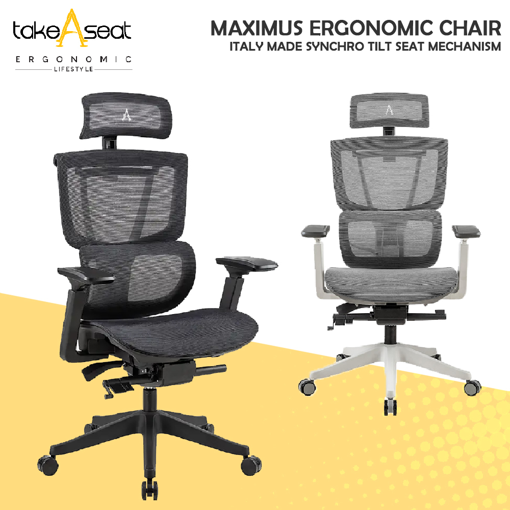 MAXIMUS Ergonomic Office Chair ★ Ergonomic Office Chair ★ Mesh Chair ...