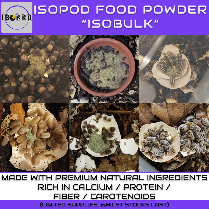 IsoBulk Premium Isopod Food Powder V3.0 — (All-In-One Rich in Calcium ...