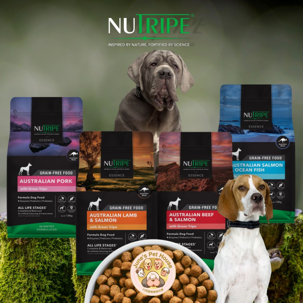 Nutripe Essence Australian Meat With Green Tripe Dog Food | Shopee ...