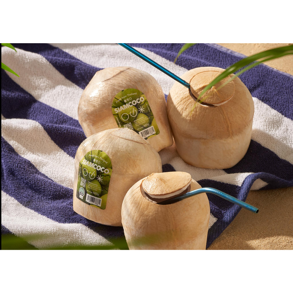 SIAM COCO Fresh Thai Coconut Precut (Buy 20 & Get Free Delivery ...