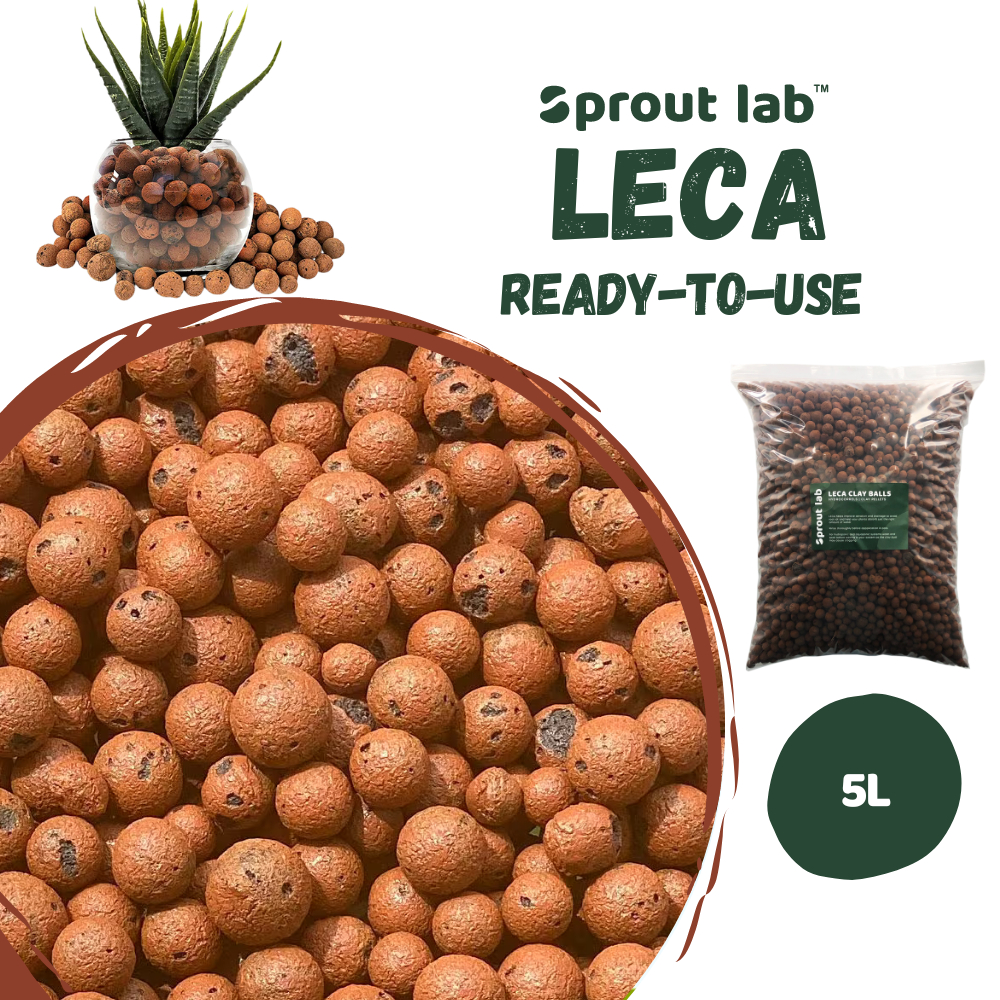 Sprout lab | Premium Heavy Leca Balls 5L (S,M) Clay Balls | Shopee ...