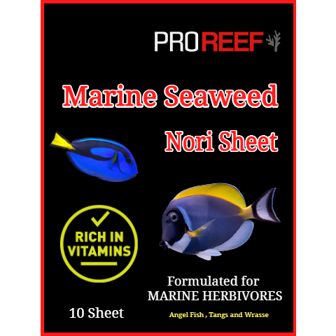 Pro reef Premium Seaweed Algae sheet for aquarium fishes ( 10 sheet ...