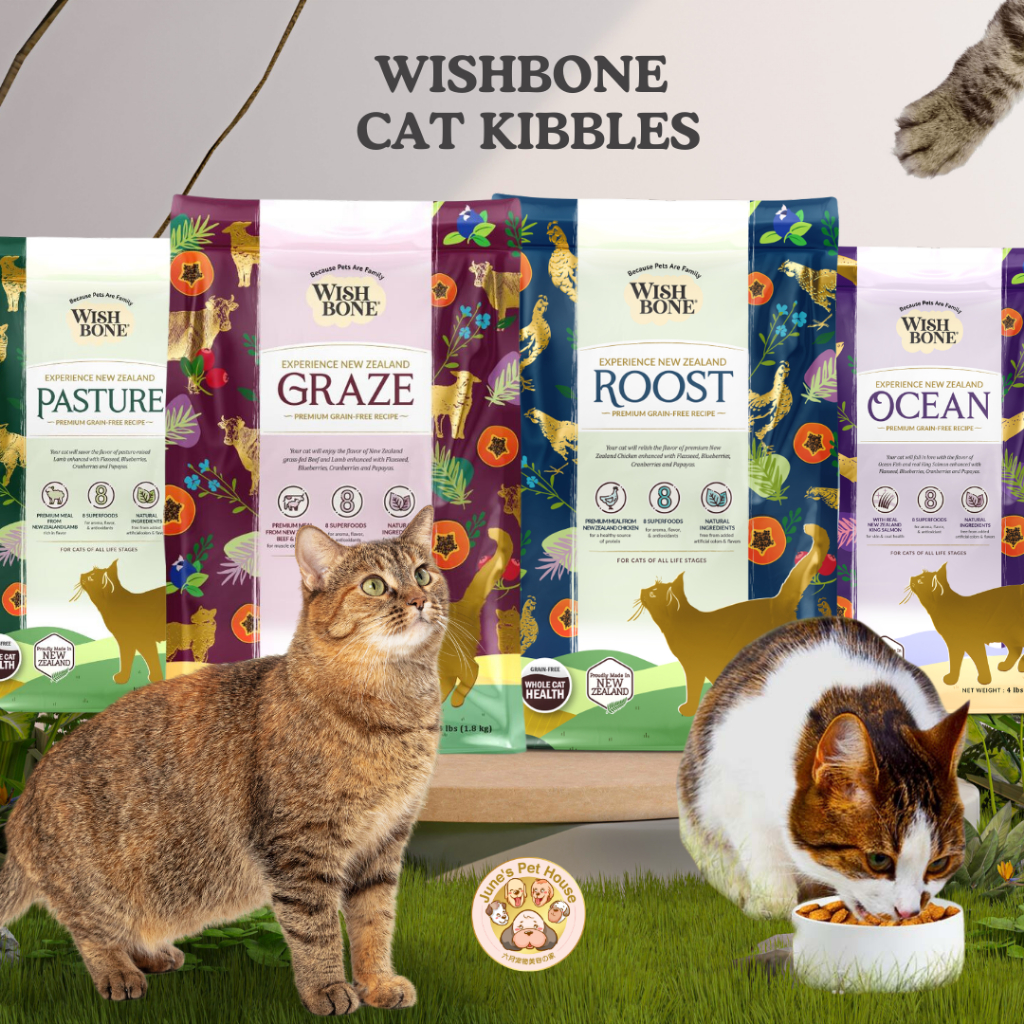 Wishbone Dry Cat Food 4lbs | Shopee Singapore