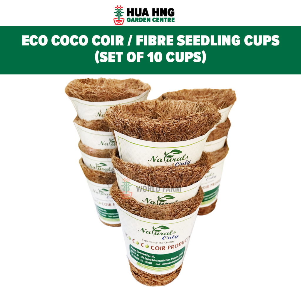 [Bundle] Biodegradable Eco Coco Coir / Fibre Seedling Cups (Pack of 10 ...