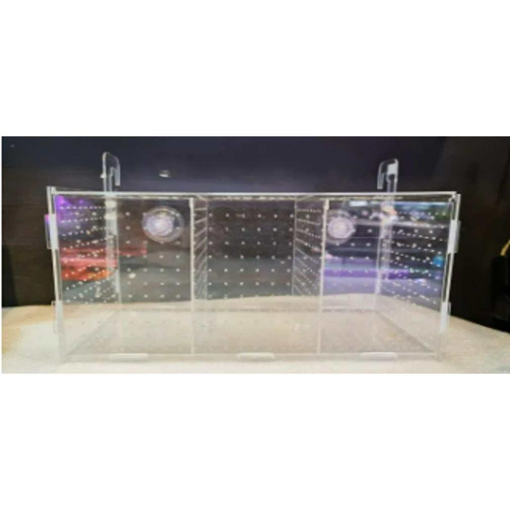 Aquarium Fish Isolation Box Fish Tank (40x15x20cm) - quadruple *self ...