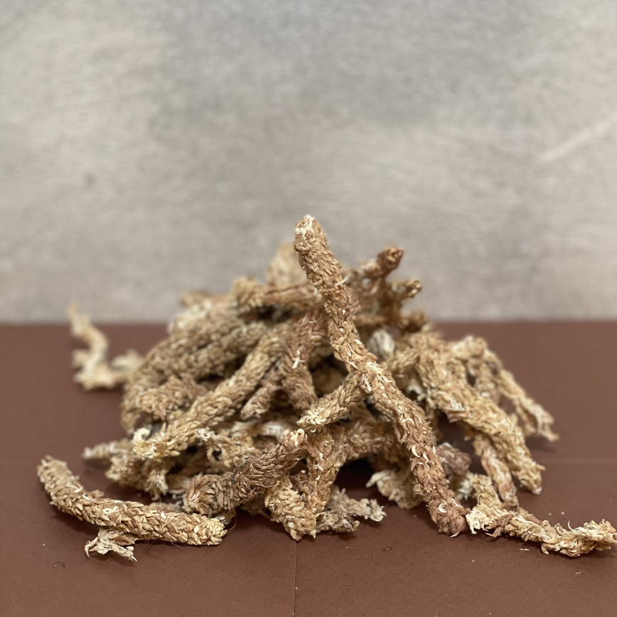 Chilean Sphagnum Moss Long and Thick fibre | Shopee Singapore