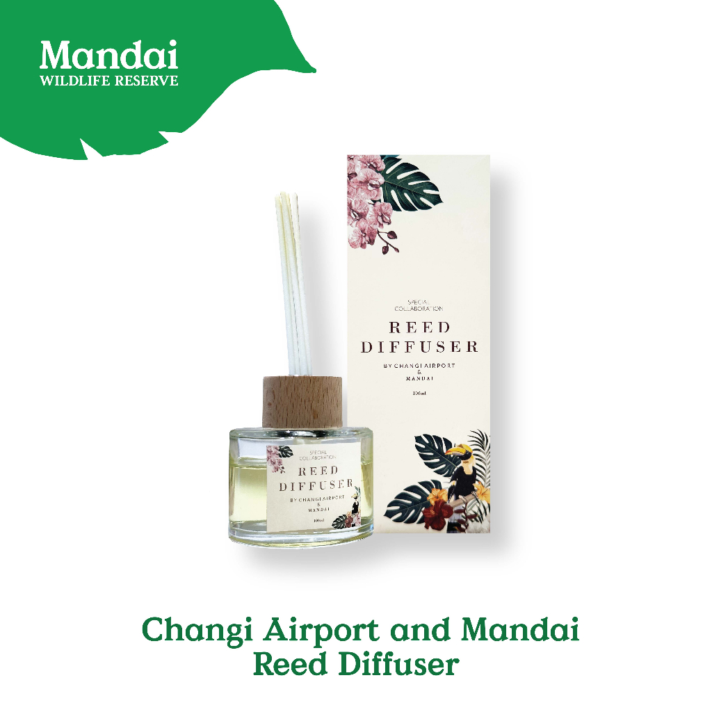 Changi Airport Scent Collaboration Room Spray Diffuser Candle Exclusive ...