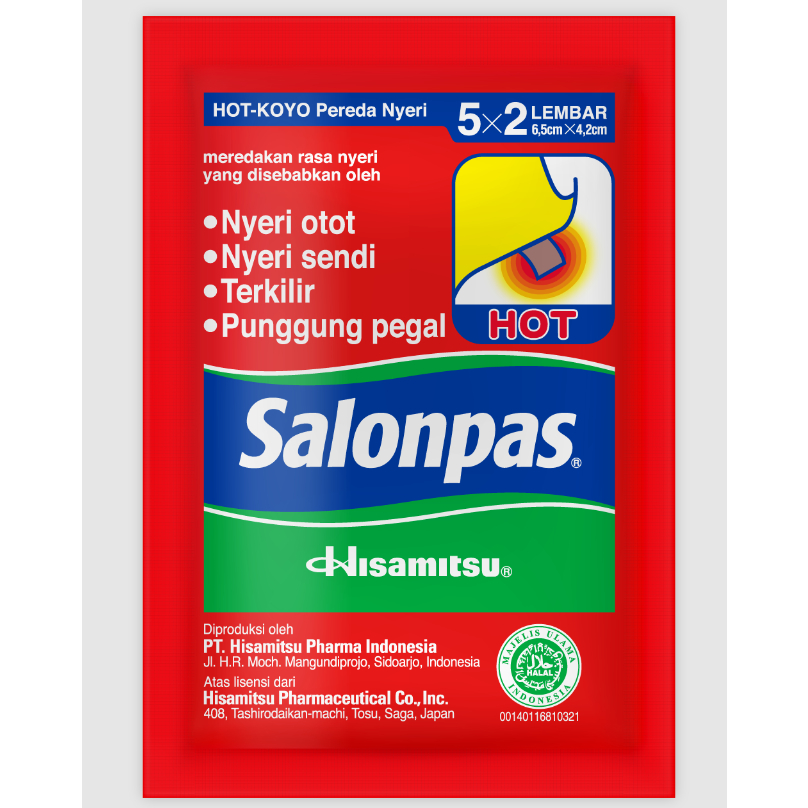 Hisamitsu Salonpas HOT KOYO Pain Relieving Patch - (1 Pack - 10 Pieces ...