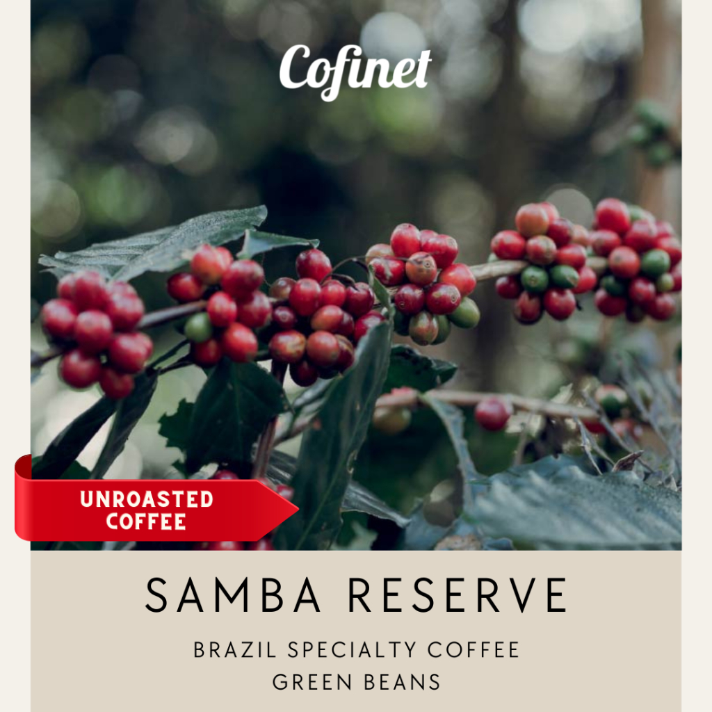Brazil Green Unroasted Specialty Coffee Samba Reserve Cofinet | Shopee ...