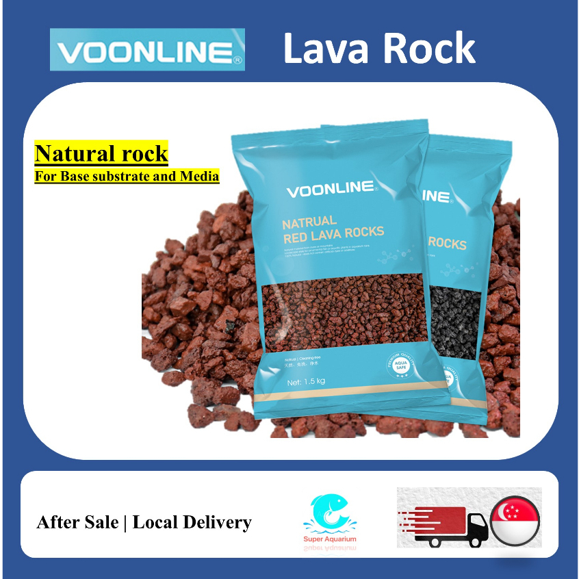 Lava rock for fish tank aquarium and succulents | Shopee Singapore