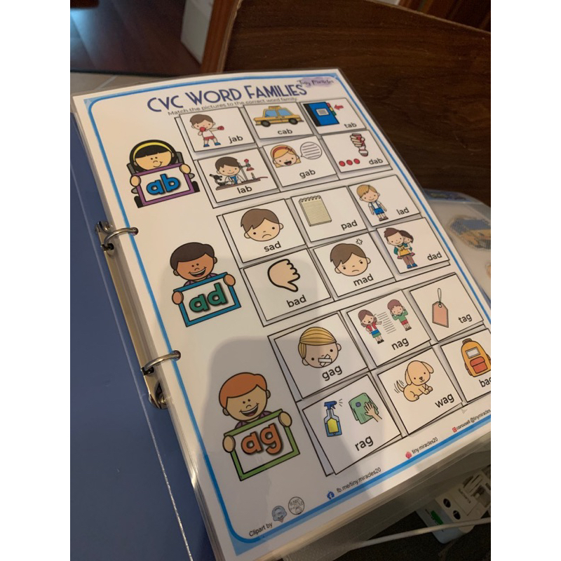 Phonics Word Families (CVC, CVCE, Beginning Blends and Ending Blends ...