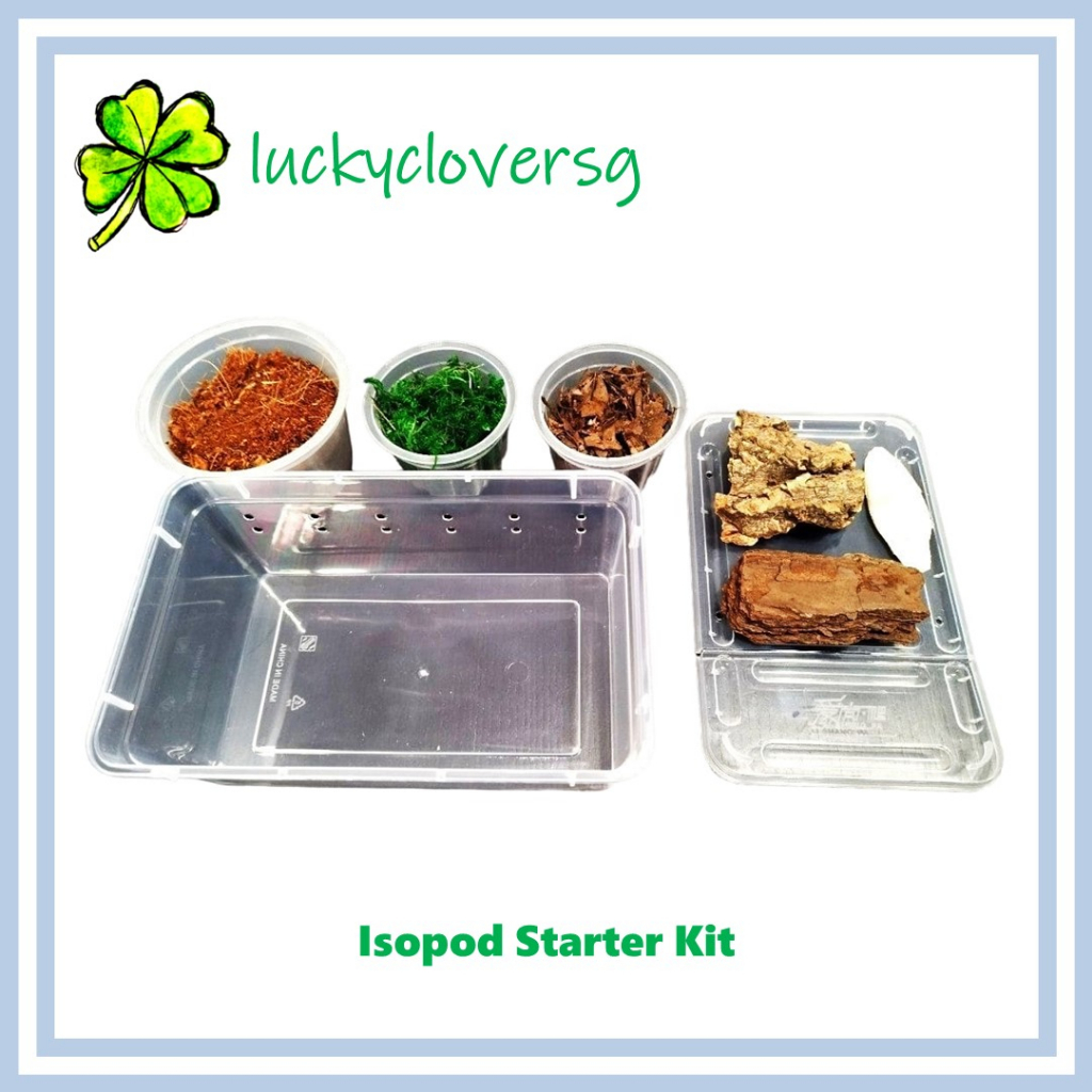 Isopod Starter Kit Box / Habitat / Isopods / Boxes | Shopee Singapore