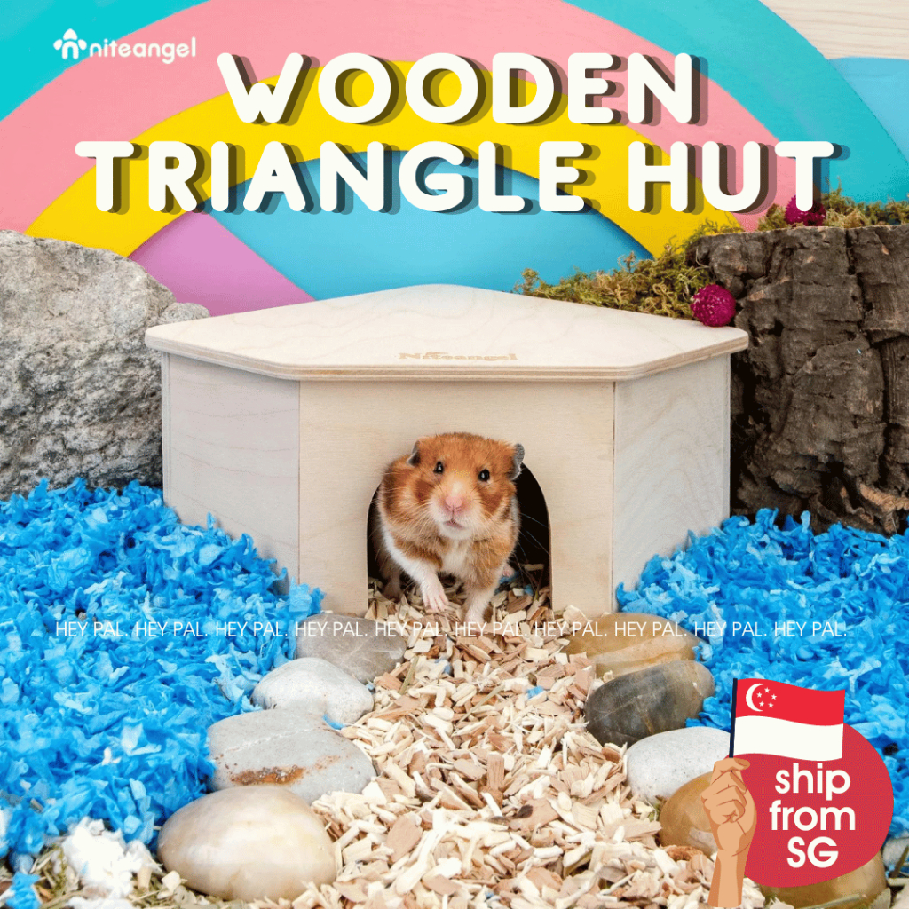 Niteangel Hamster House Hideout for Hamsters Gerbils Mice (Triangle ...