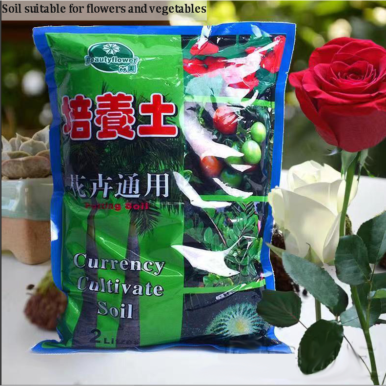 【SG STOCK】CHEAPEST Garden Formula Potting nutrient Soil Organic Potted ...