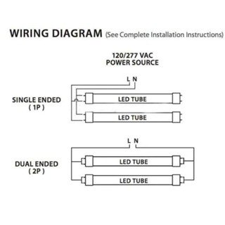 PHILIPS T8 LED LIGHT TUBE / Single ended / 2ft 4ft / 8W 16W / 3000k 4000k 6500k | Shopee Singapore