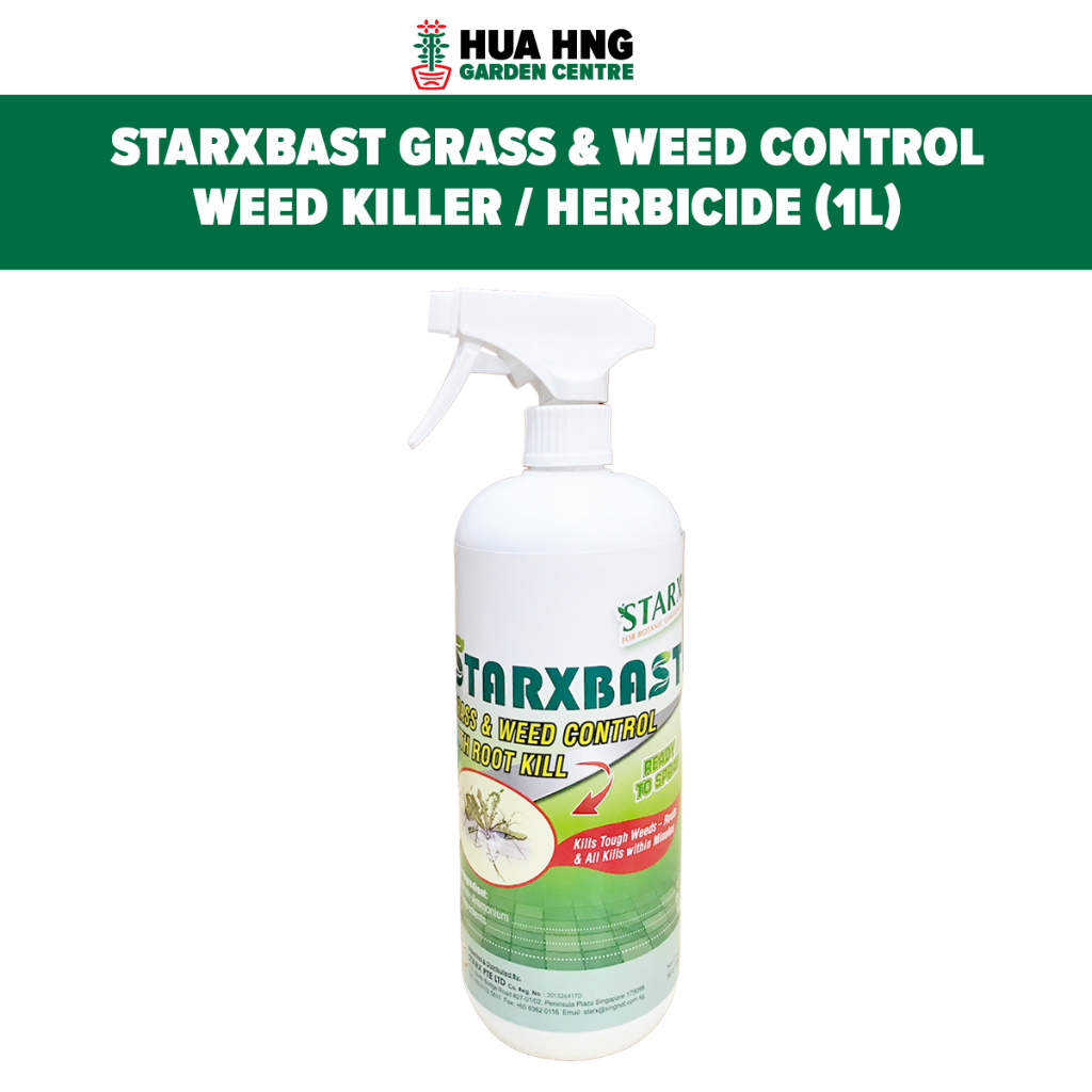 Starxbast Grass and Weed Control, Weed Killer / Herbicide, Ready to ...