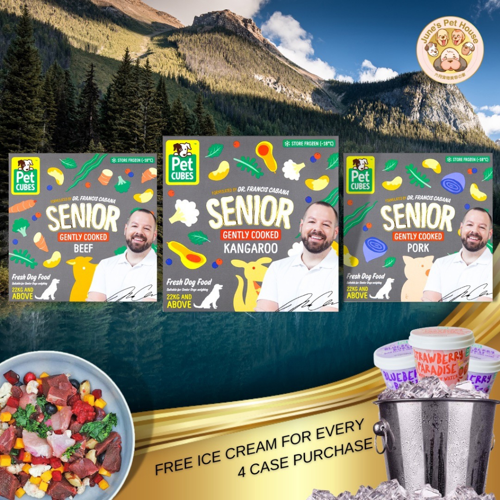 Pet Cubes Senior (Buy Any 4 Box, Get 1 Free Ice cream) | Shopee Singapore