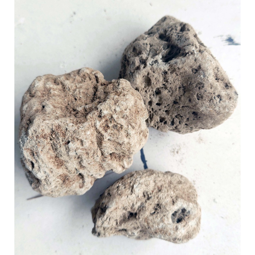 Pumice stone rock seachem matrix aquarium filter media 3-5cm 轻石 浮石 多肉轻石 ...