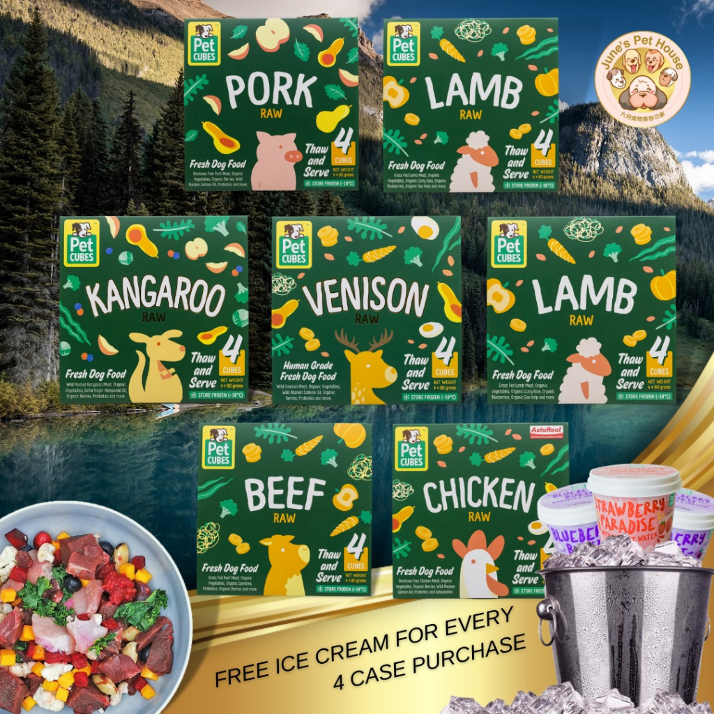 Pet Cubes Raw (Buy Any 4 Box, Get 1 Free Ice cream) | Shopee Singapore