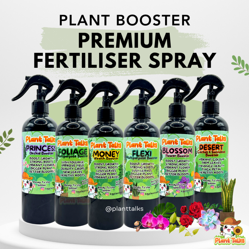 Plant Talks Fertiliser Spray for Plant Nutrition Booster Spray for ...
