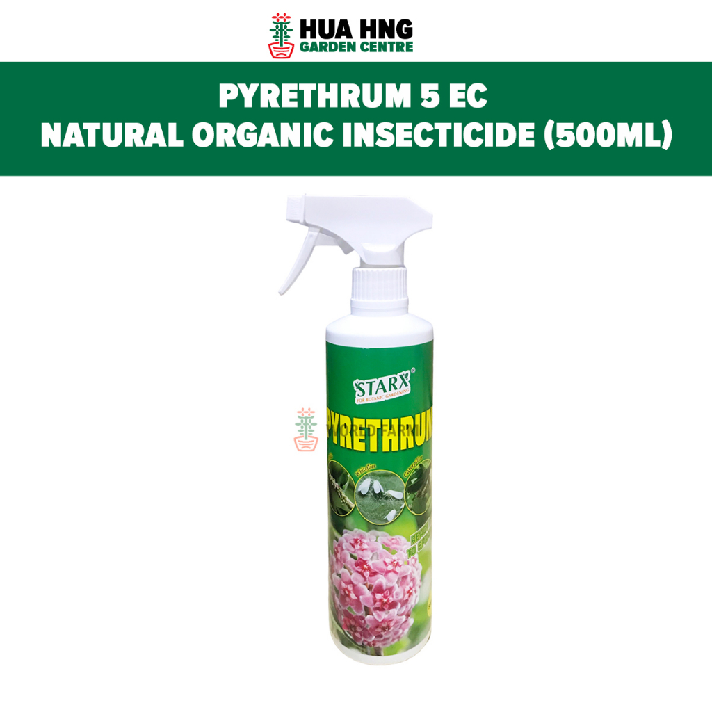 Pyrethrum 5 EC Natural Organic Insecticide 500ml | Shopee Singapore