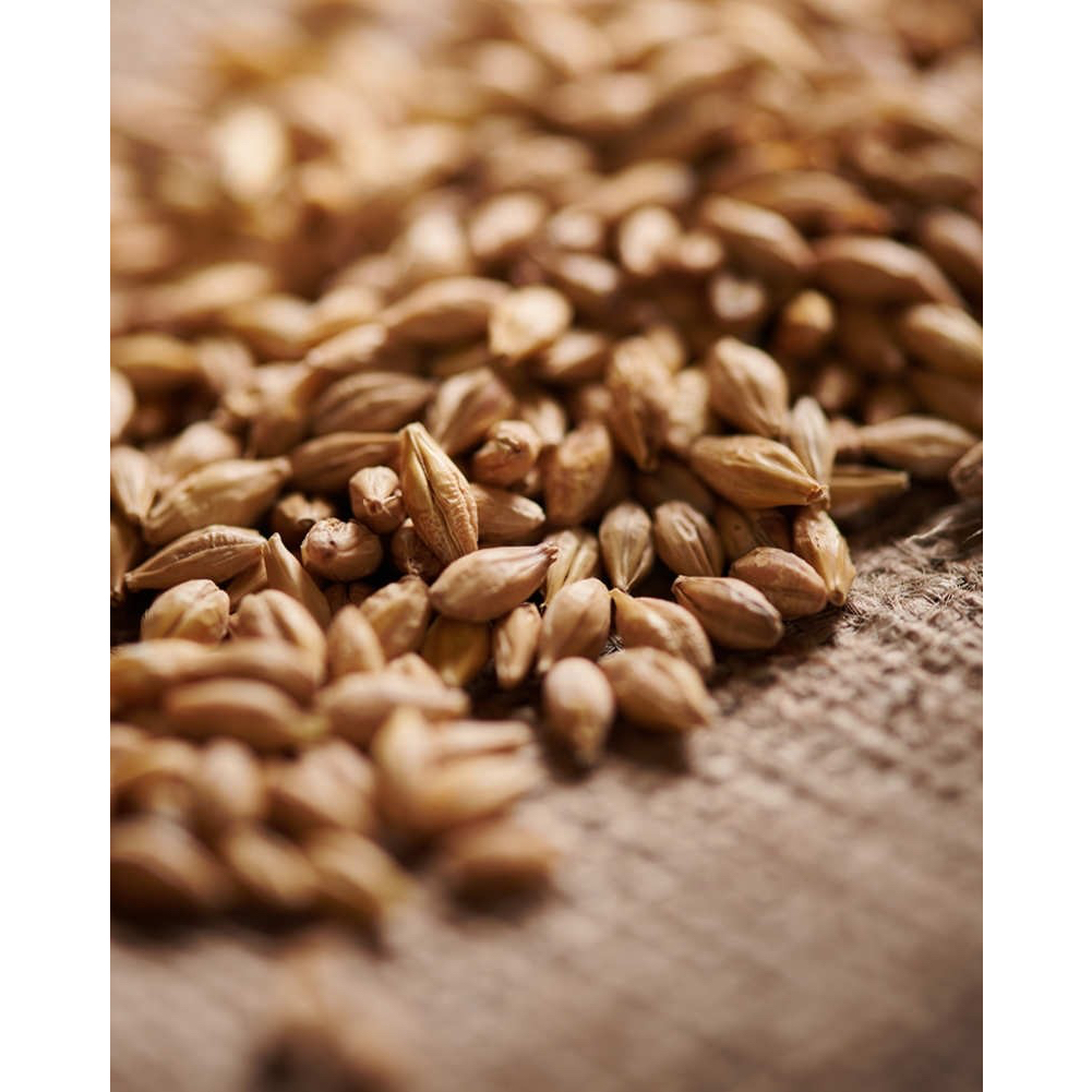 Weyermann - ACIDULATED MALT (100G/BAG) | Shopee Singapore