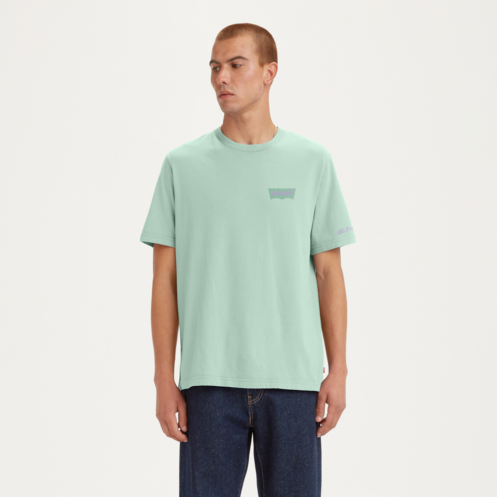 Levi's® Men's Relaxed Short-Sleeve Graphic T-Shirt 16143-0953 | Shopee ...