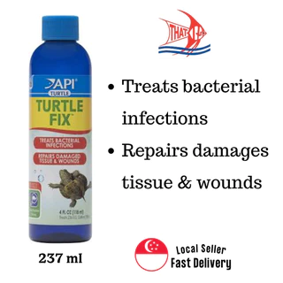 That Aquarium, Online Shop | Shopee Singapore