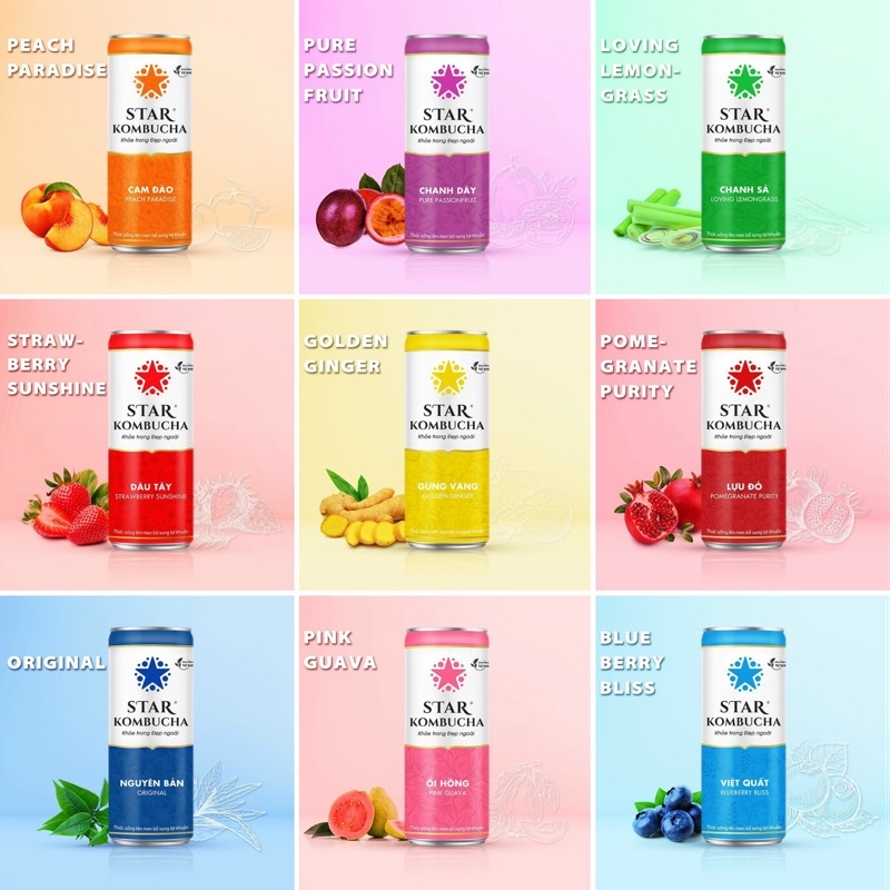 STAR KOMBUCHA Assorted flavors 250mlx6 [Buy6Free1] | Shopee Singapore
