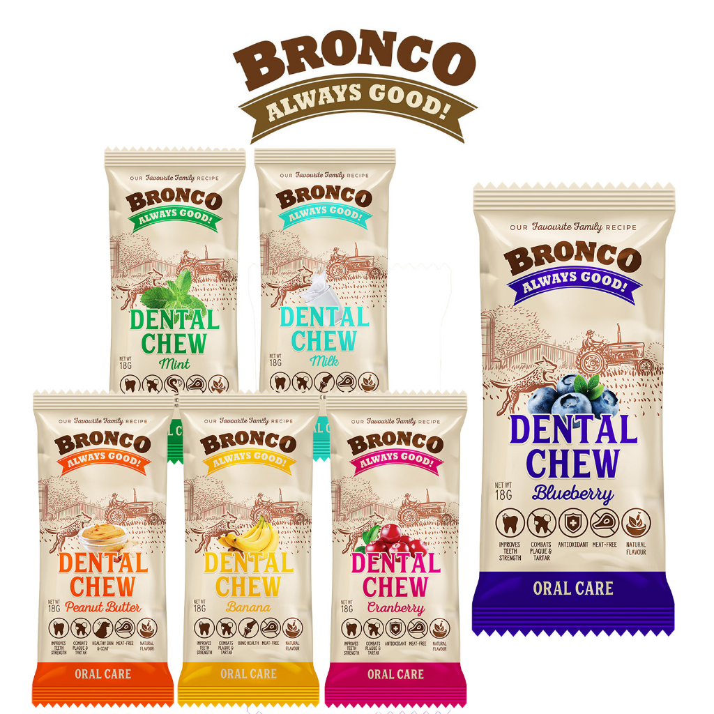 Bronco Dental Chew for Dog 18g -Assorted | Shopee Singapore