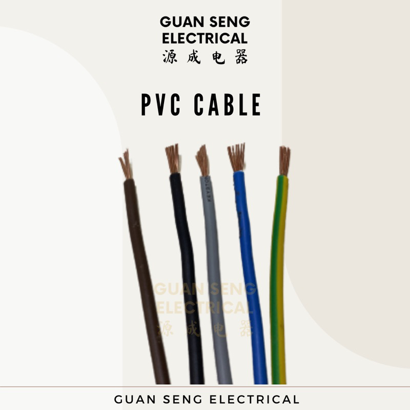 [SG Seller] 2.5mm PVC Electrical Cable Wire - 2/5/10 meters | Guan Seng ...