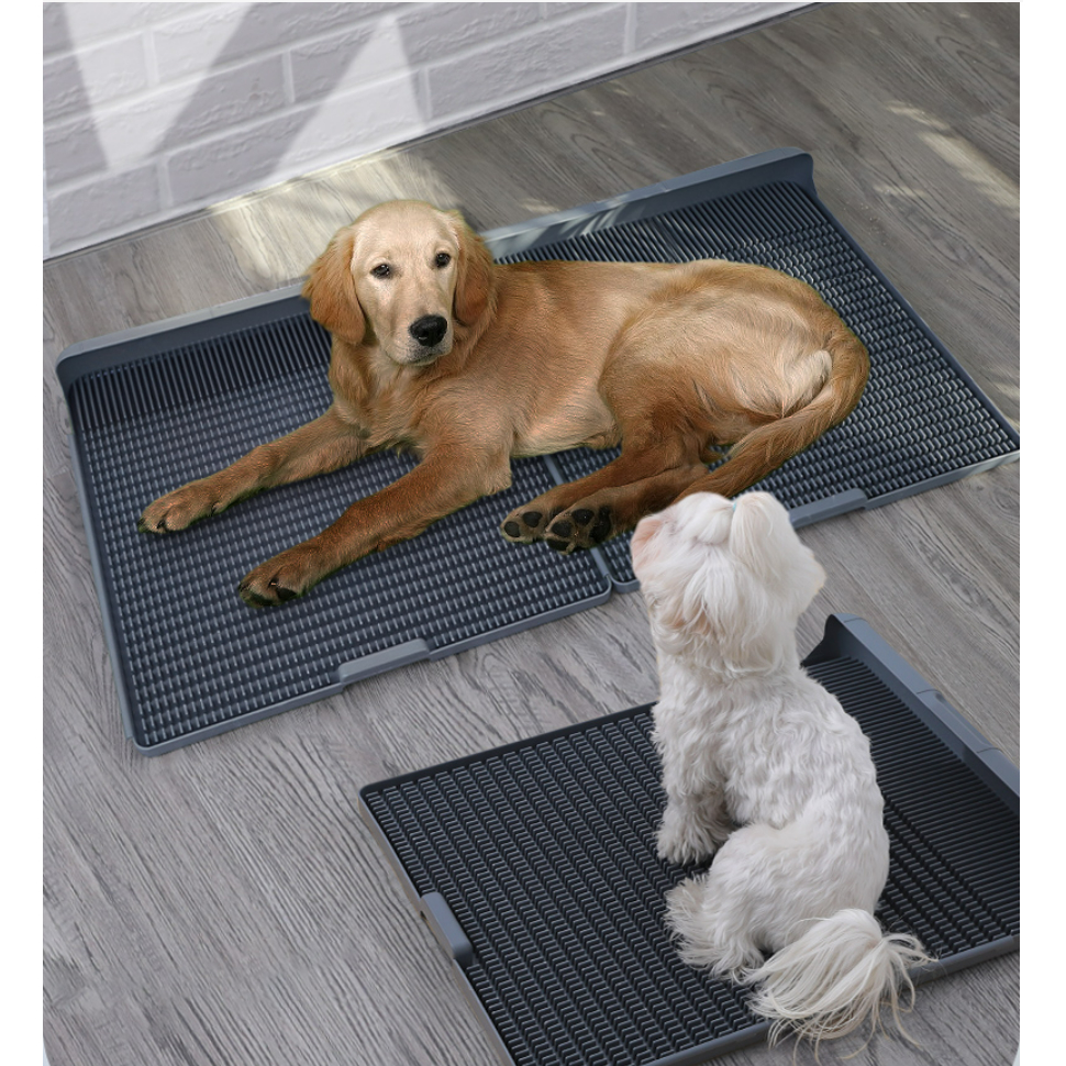 "Local stock" Pet Training Tray Pet(no pee pad required) Portable Dog ...