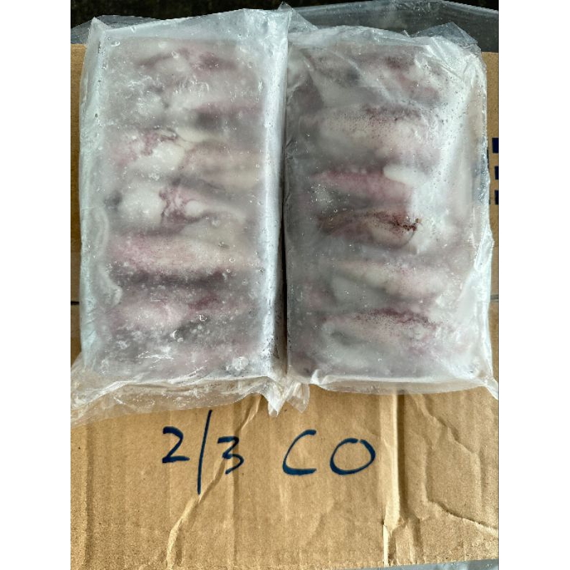 Frozen Squid Sotong, 苏东 - 500g/Packet, (Gutted) (CO) | Shopee Singapore