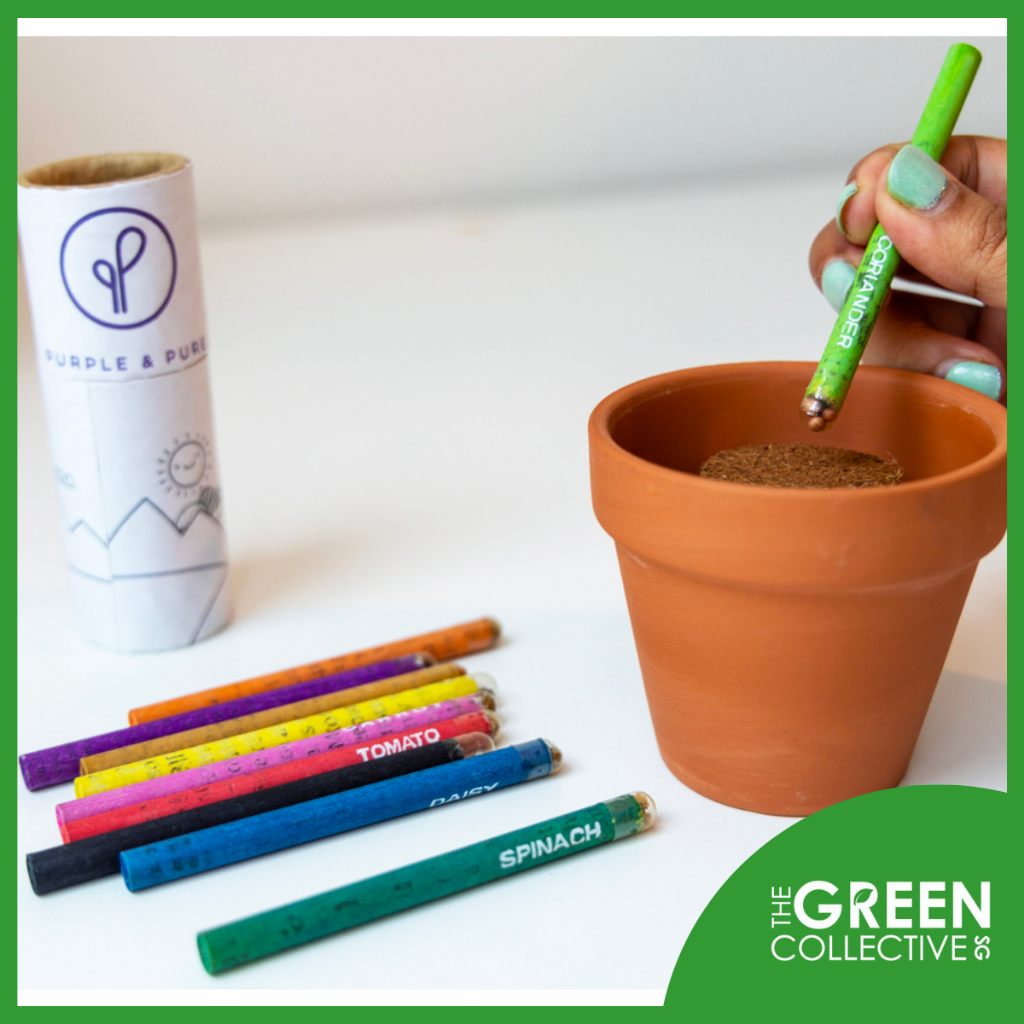 Purple & Pure Plantable Seed Coloured Pencils (Set of 10) | Shopee ...