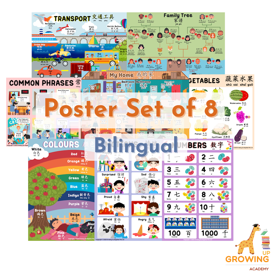 [Growing Up Academy] Educational Posters (Set of 8) - Bilingual ...