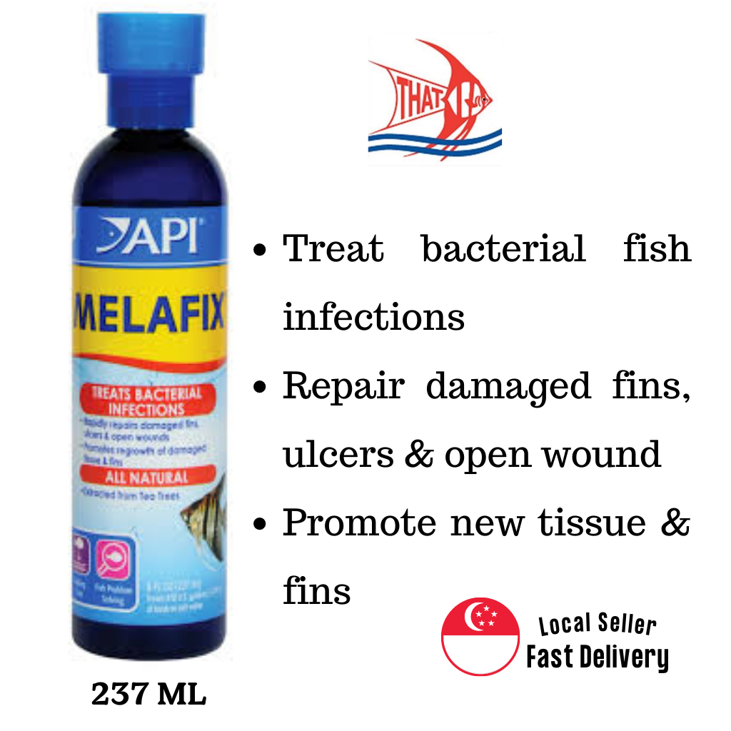 That Aquarium, Online Shop | Shopee Singapore