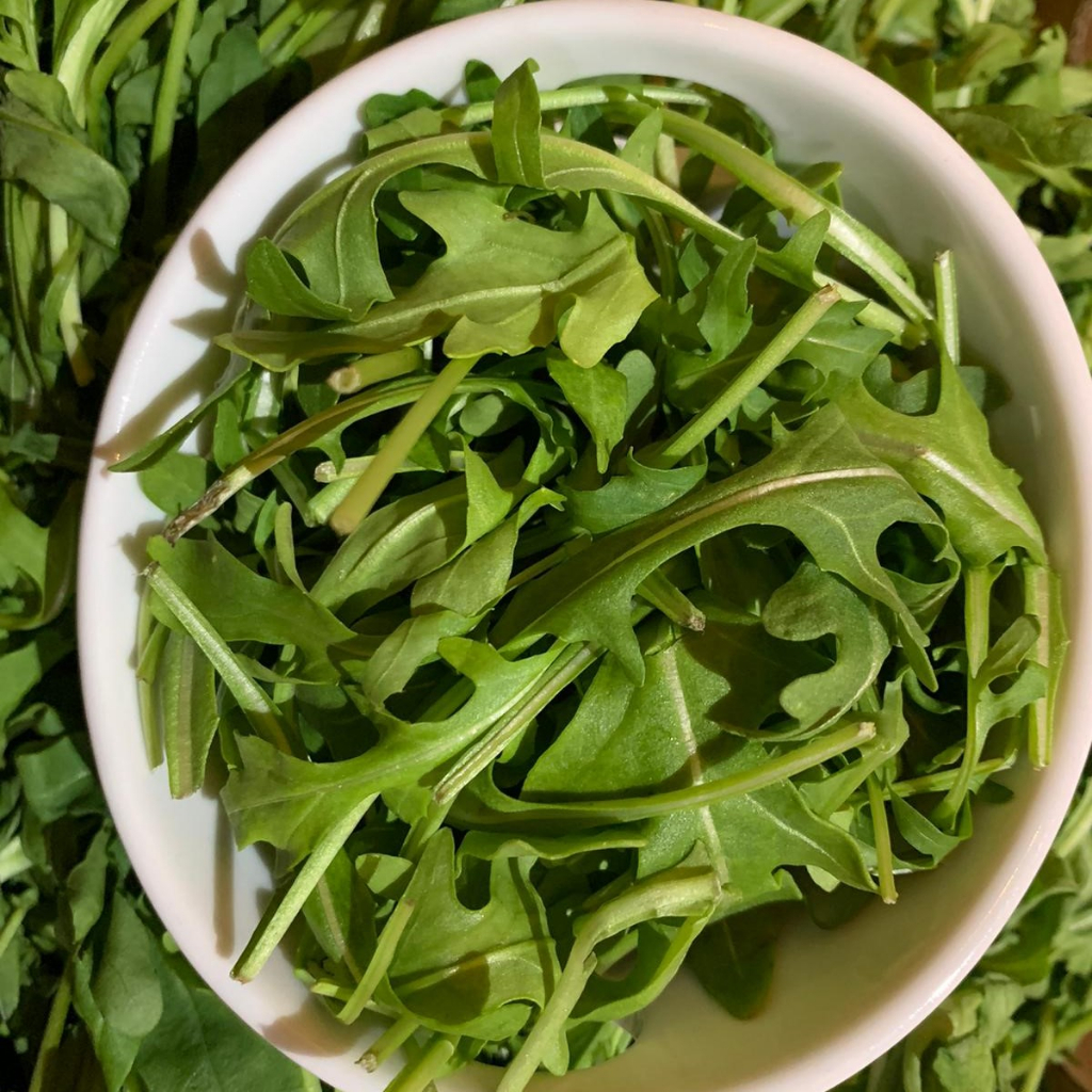 Fruitland Fresh Aragula Leaf 100g | Shopee Singapore