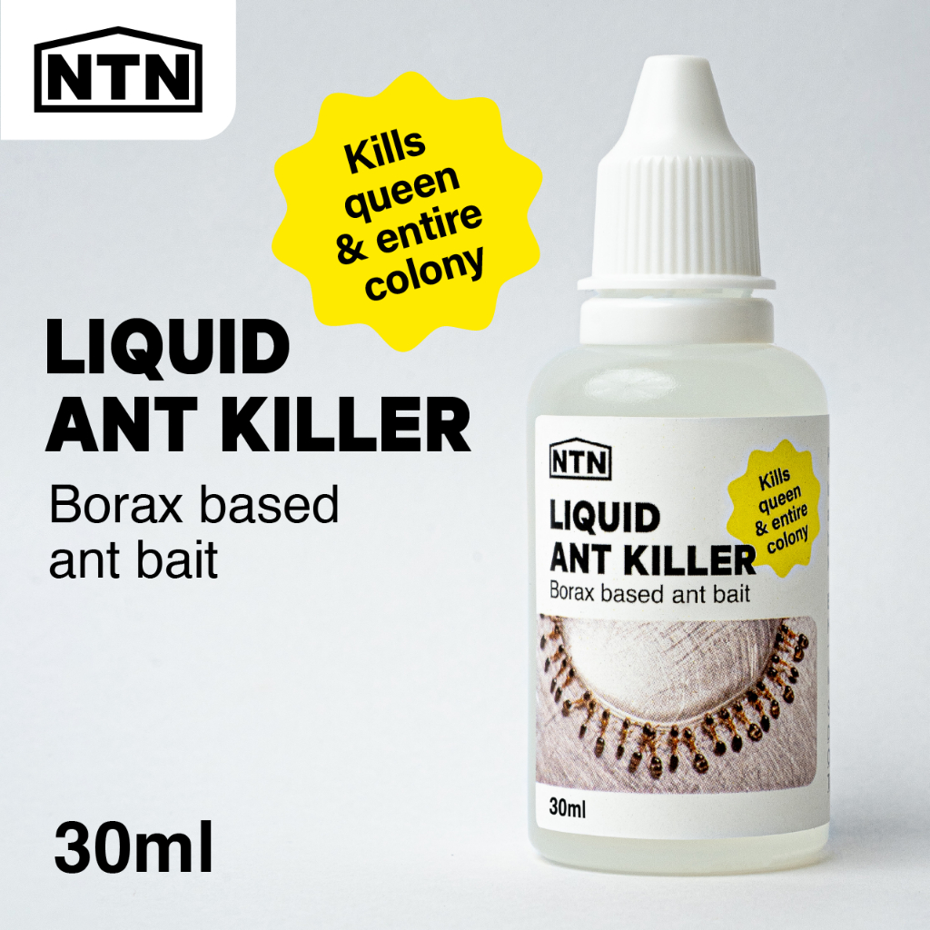 NTN Liquid Ant Killer — Borax based ant bait/poison (30ml) | Shopee ...