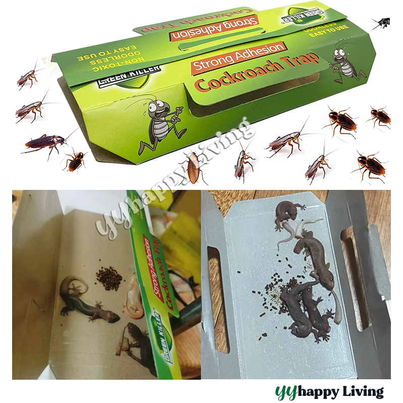 [SG Ready Stock]10pcs(1box) Lizard Trap & Cockroach Trap with baits ...