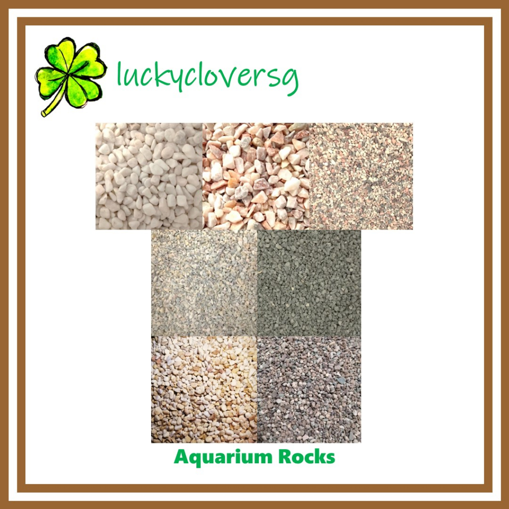 [WHOLESALE] Aquarium Rocks / Terrarium Pebbles / Rock / Pebble / River ...