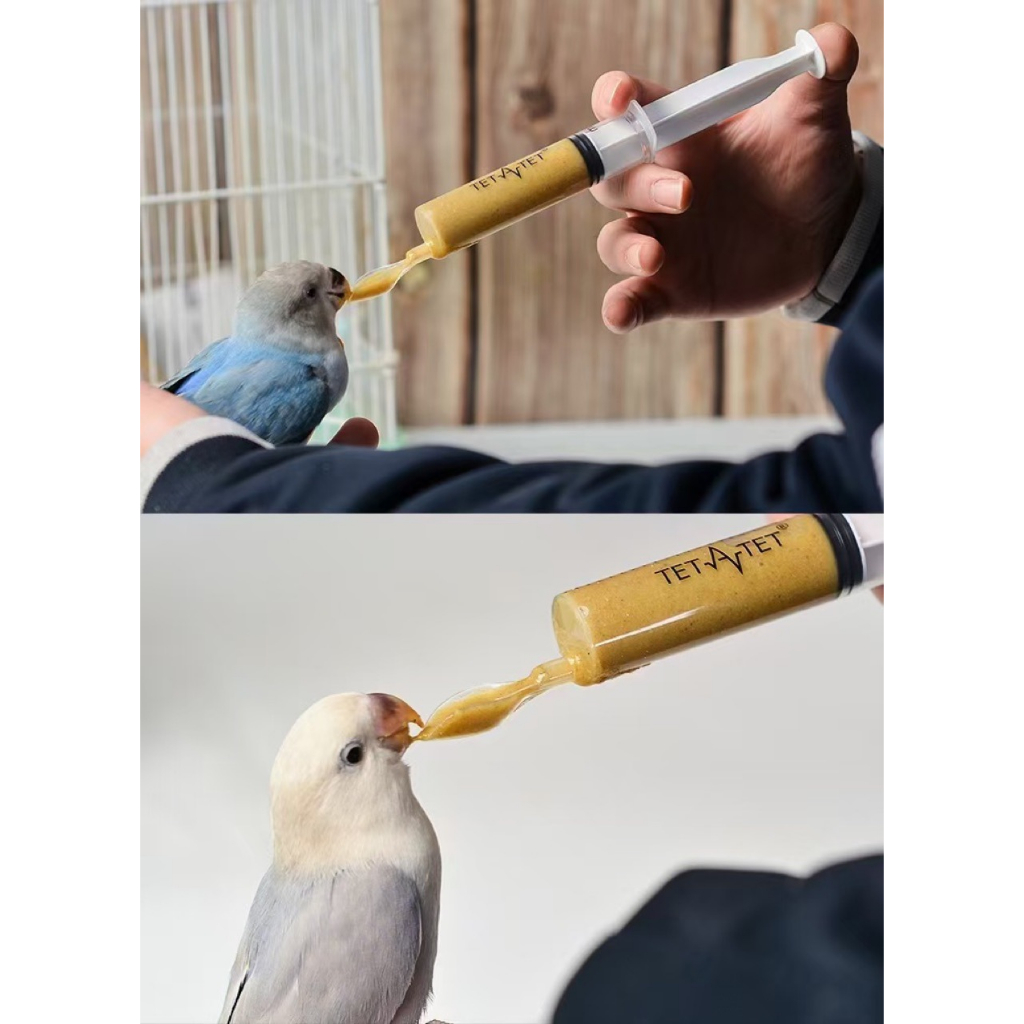 Parrot Feeding Spoon Tool Syringe | Young Bird Milk Powder | Needle ...